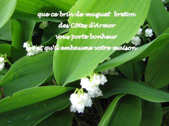 le muguet porte bonheur
